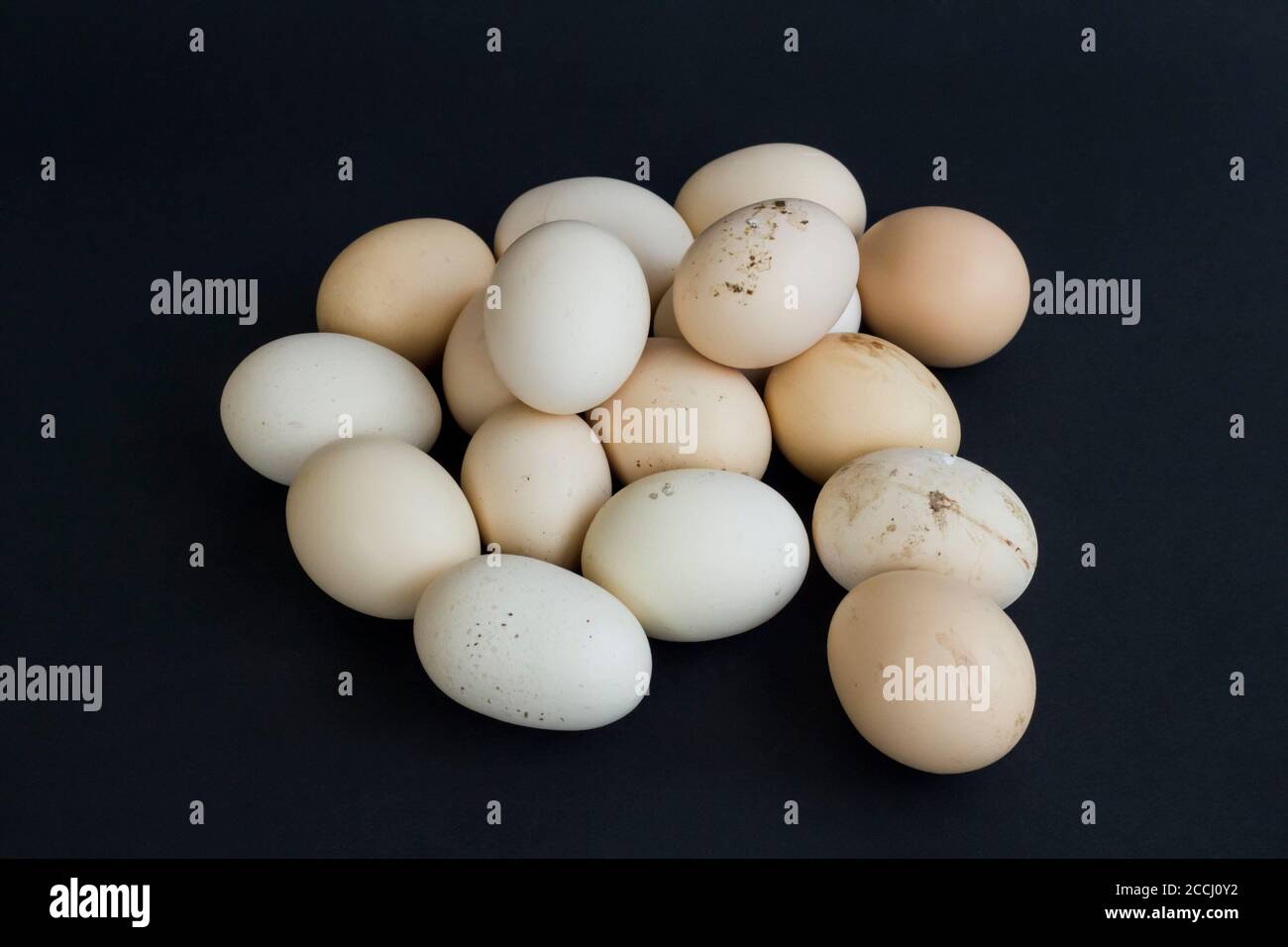 Organic,fresh large size uncooked eggs on black background with copy ...