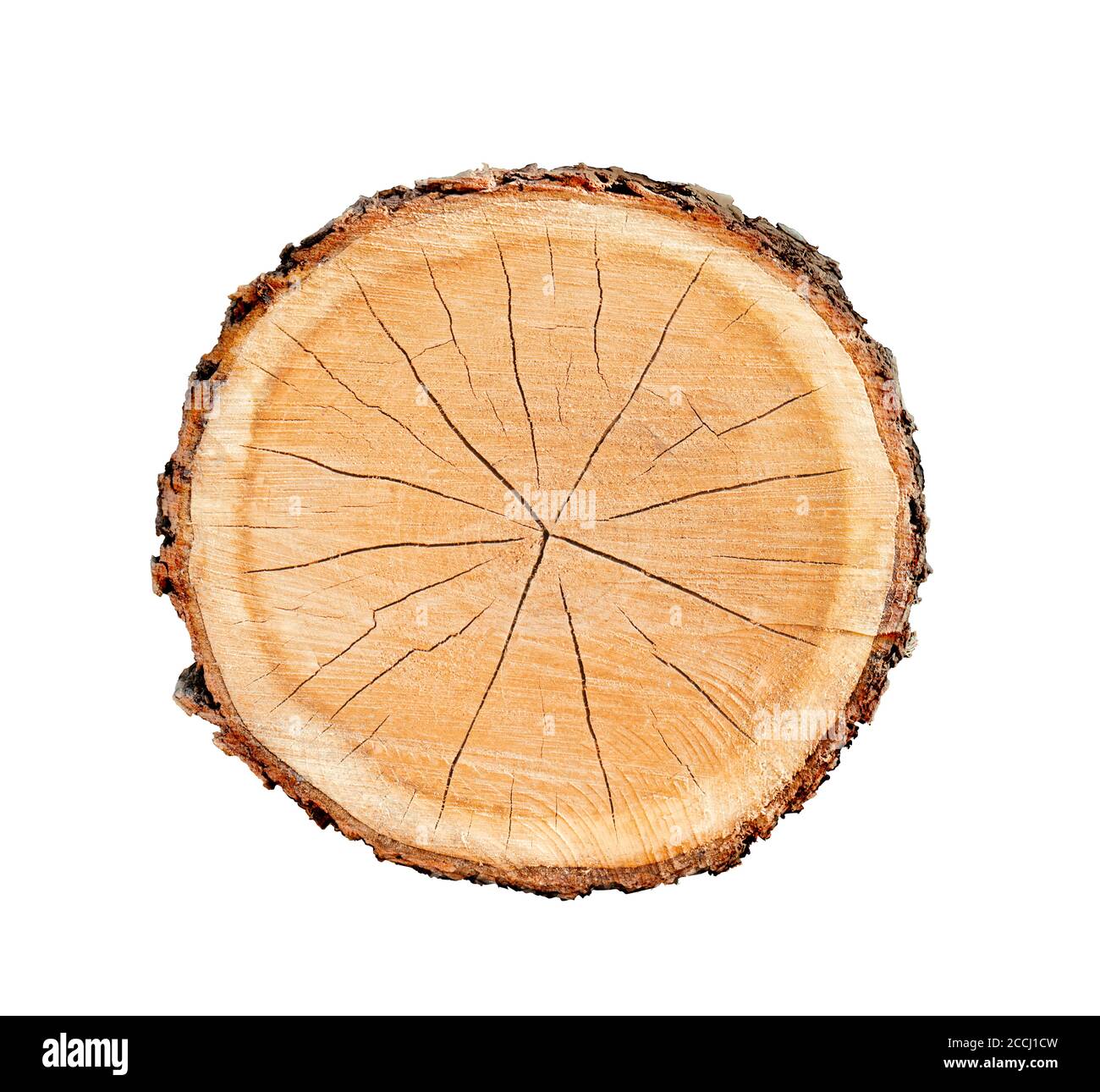 Circular wood texture background hi-res stock photography and images ...