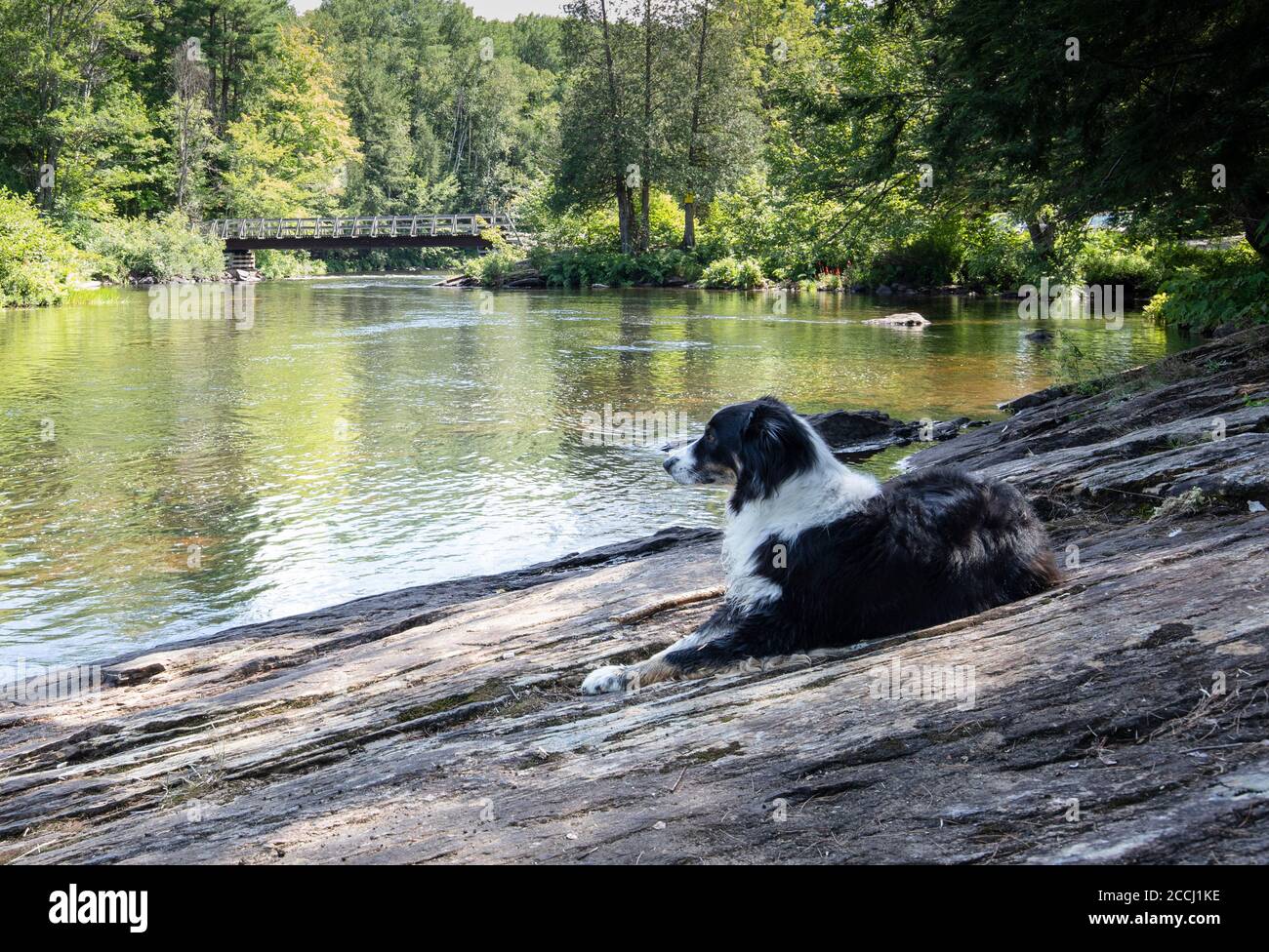 Dog river landscape hi-res stock photography and images - Alamy