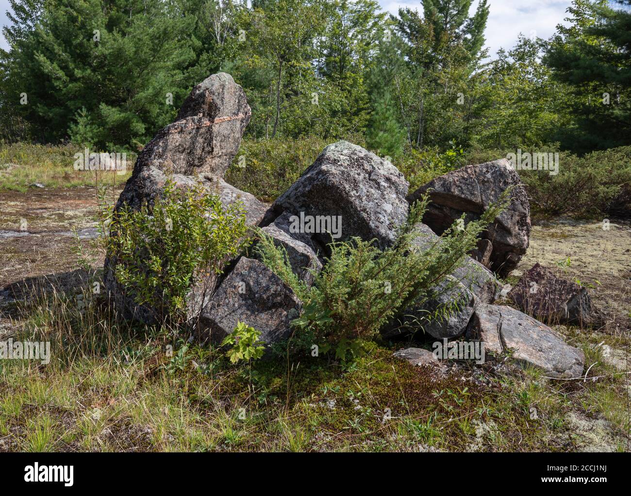 Pile of large erratic rocks on glacial bedrock on the Torrance Barrens ...