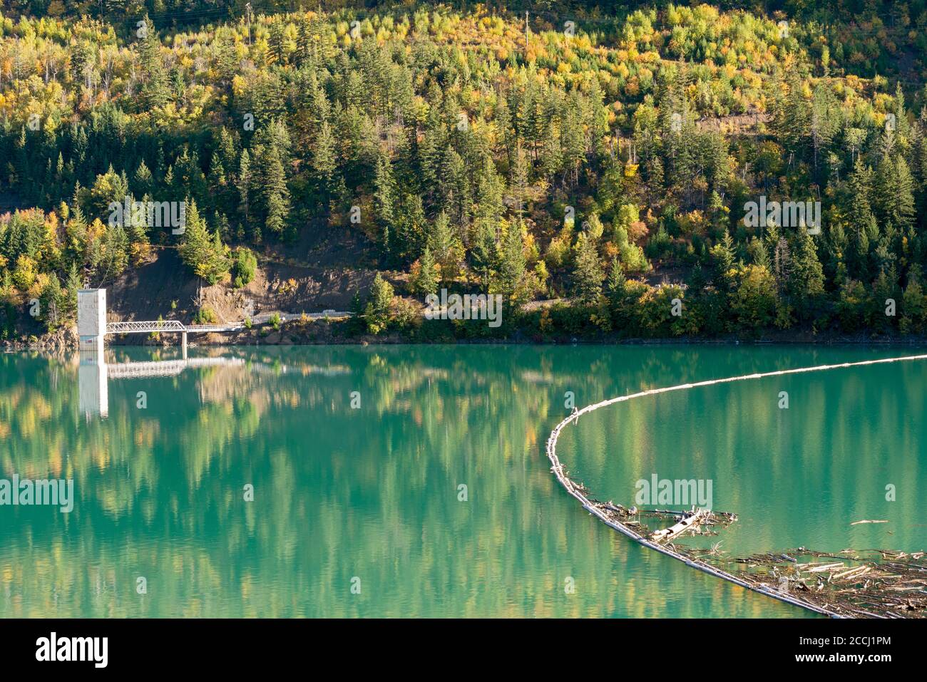 A log boom in the Carpenter Lake Reservoir at the Terzaghi dam in ...