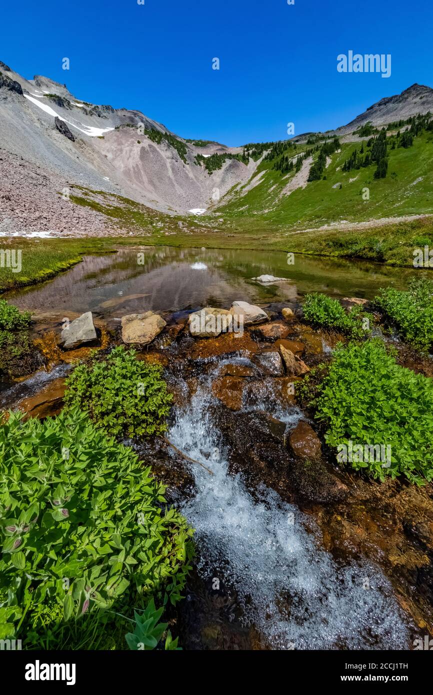 Cispus River headwaters in upper Cispus Basin in the Goat Rocks ...
