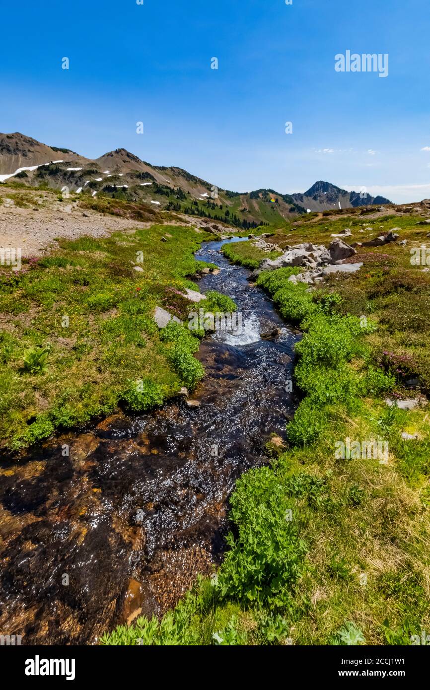 Cispus River headwaters in upper Cispus Basin in the Goat Rocks ...