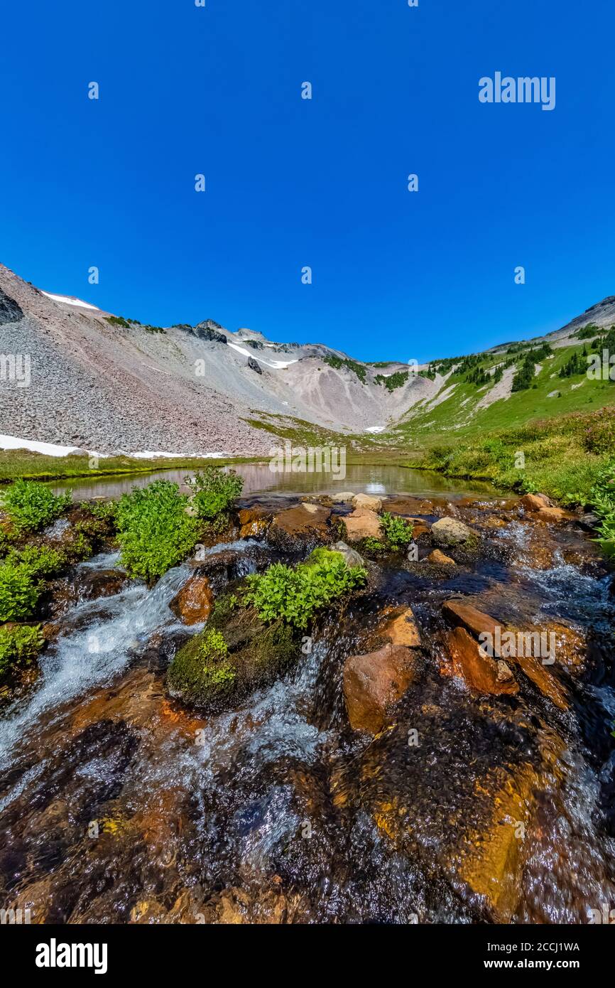Cispus River headwaters in upper Cispus Basin in the Goat Rocks ...