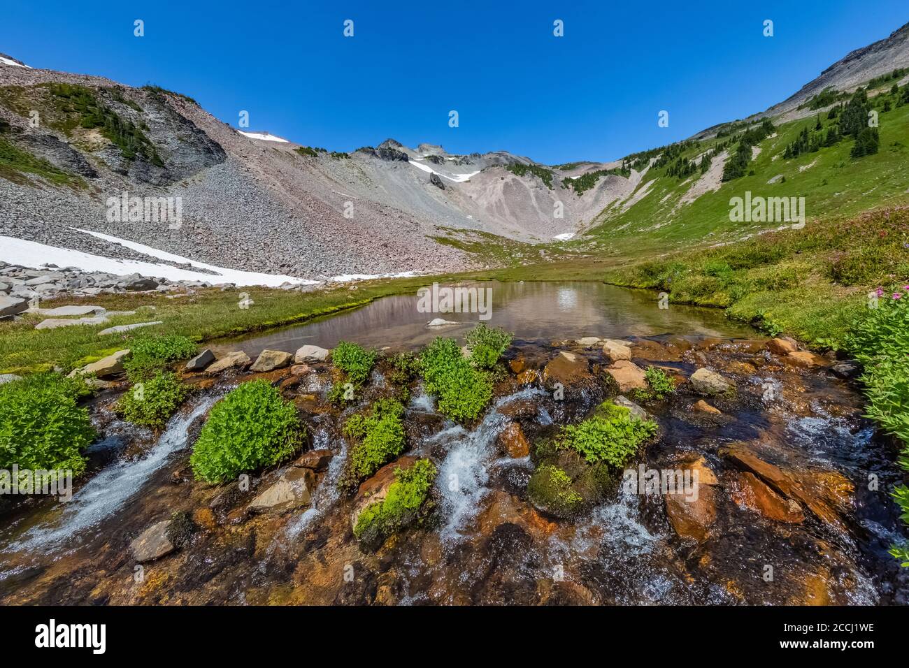 Cispus River headwaters in upper Cispus Basin in the Goat Rocks ...