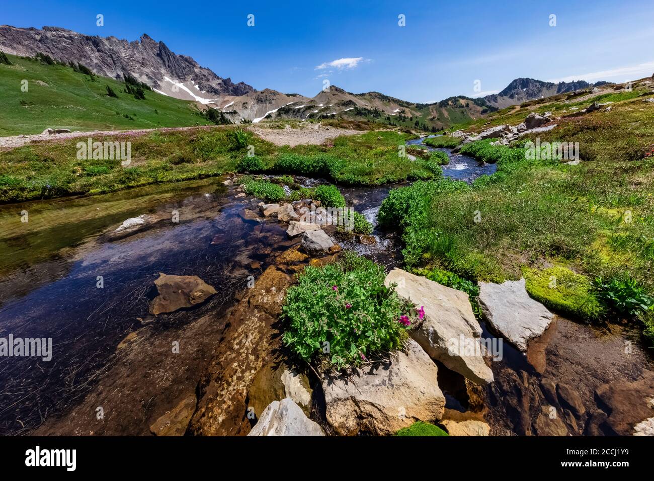 Goat Rocks Wilderness, Gifford Pinchot National Forest, Washington ...
