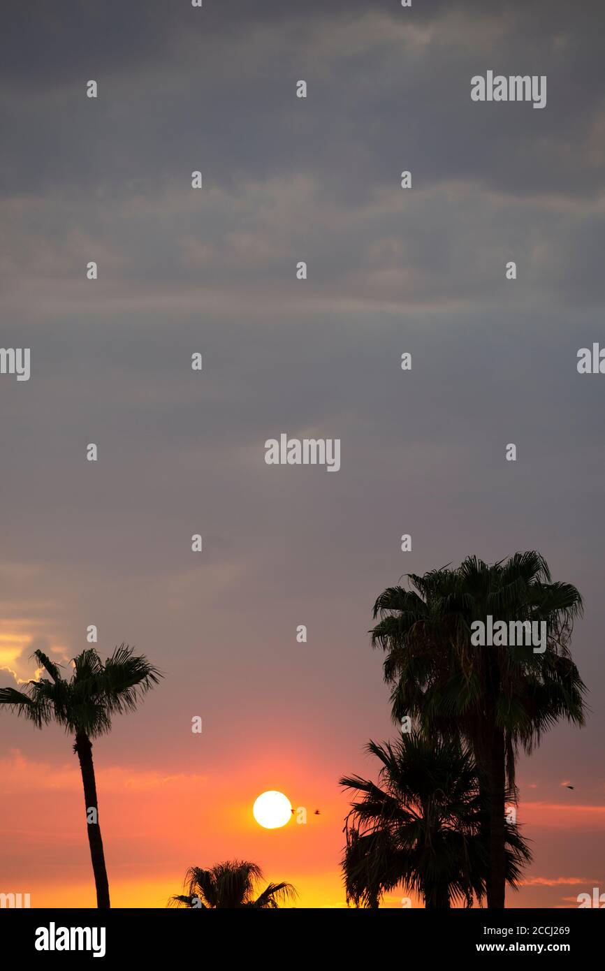 The sun sets while California wildfires and the smoke fills the air ...