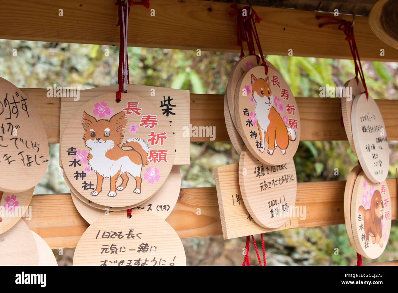 Nara, Japan - Traditional wooden prayer tablet (Ema) at Yoshimizu ...