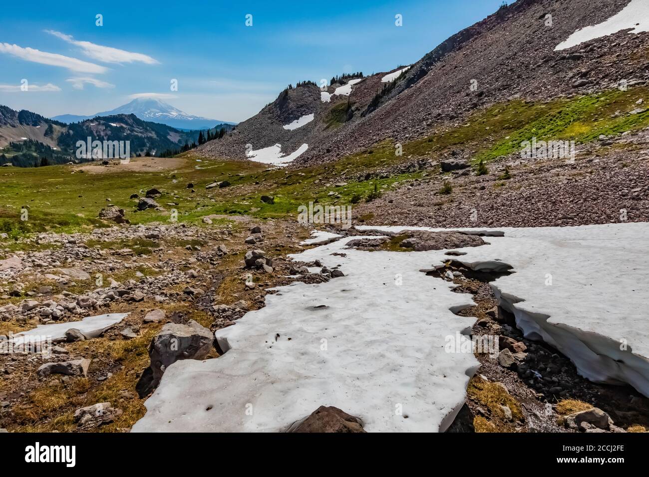 Channel through snow field formed by flowing Cispus River, Mount Adams ...