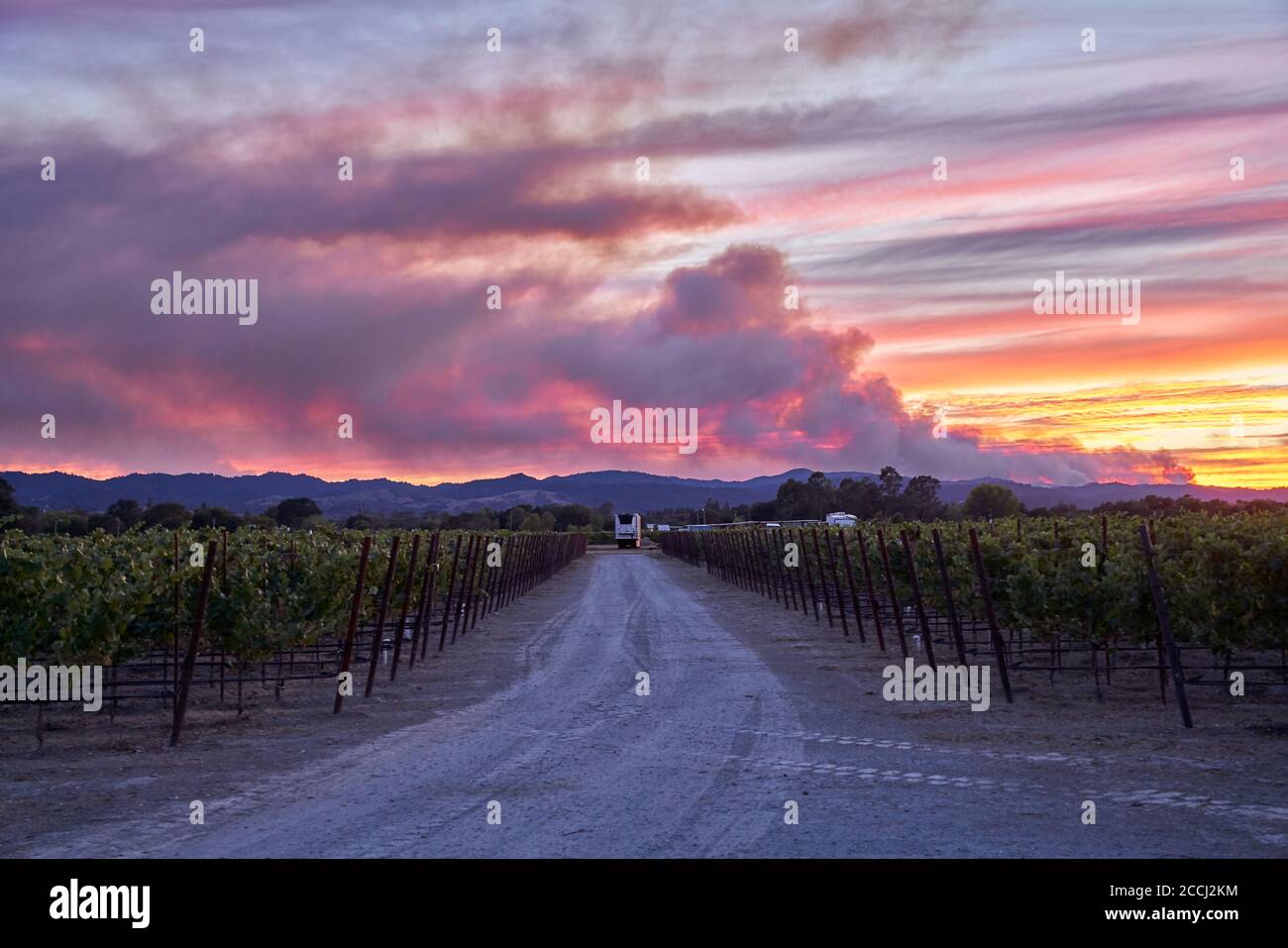 Fire california vineyard 2020 hi-res stock photography and images - Alamy