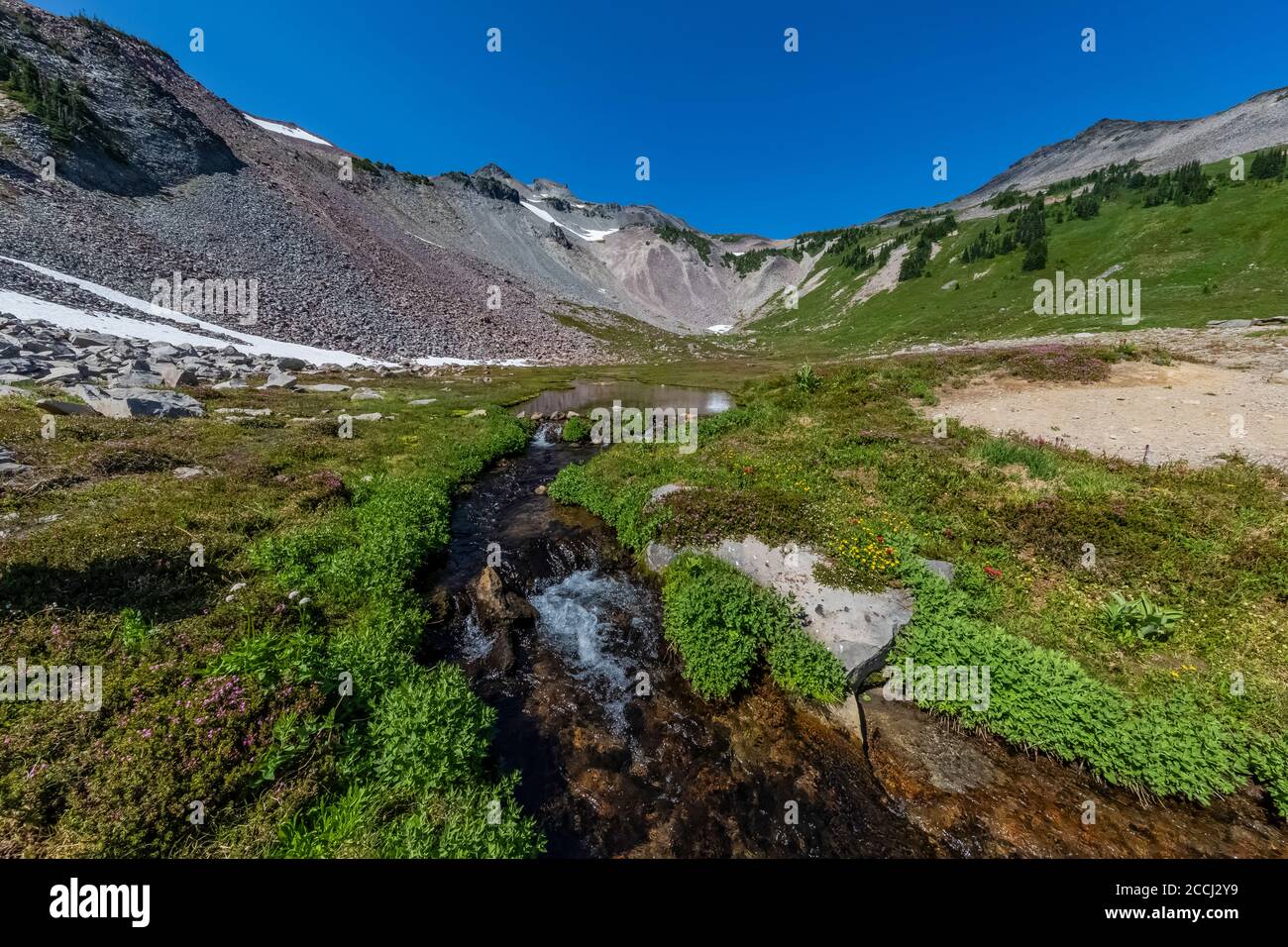Cispus River headwaters in upper Cispus Basin in the Goat Rocks ...