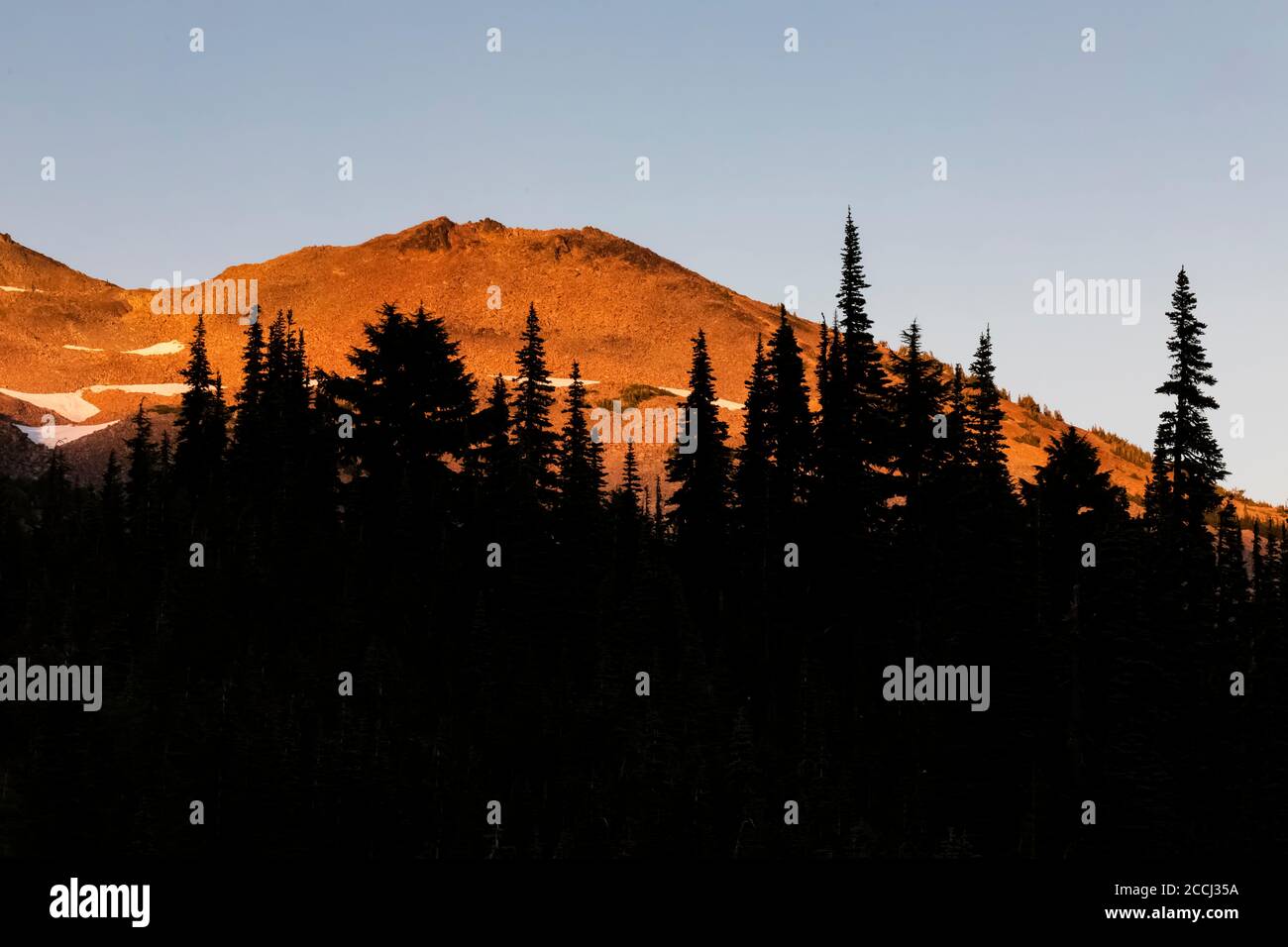 Glowing light on the Goat Rocks, from near the Pacific Crest Trail in ...