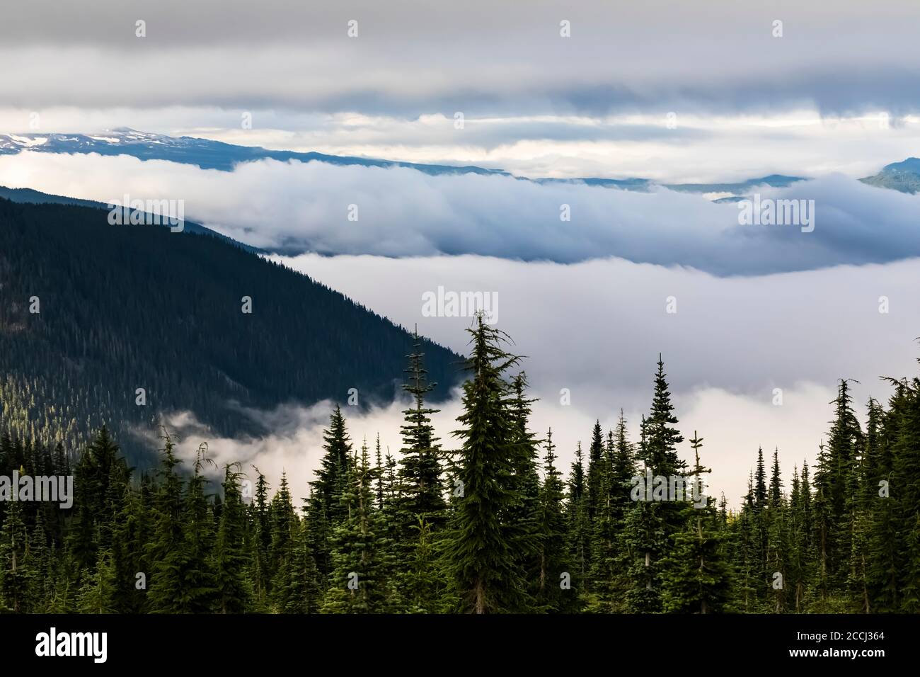 Clouds creeping up a valley below Mount Adams, viewed from the Goat ...