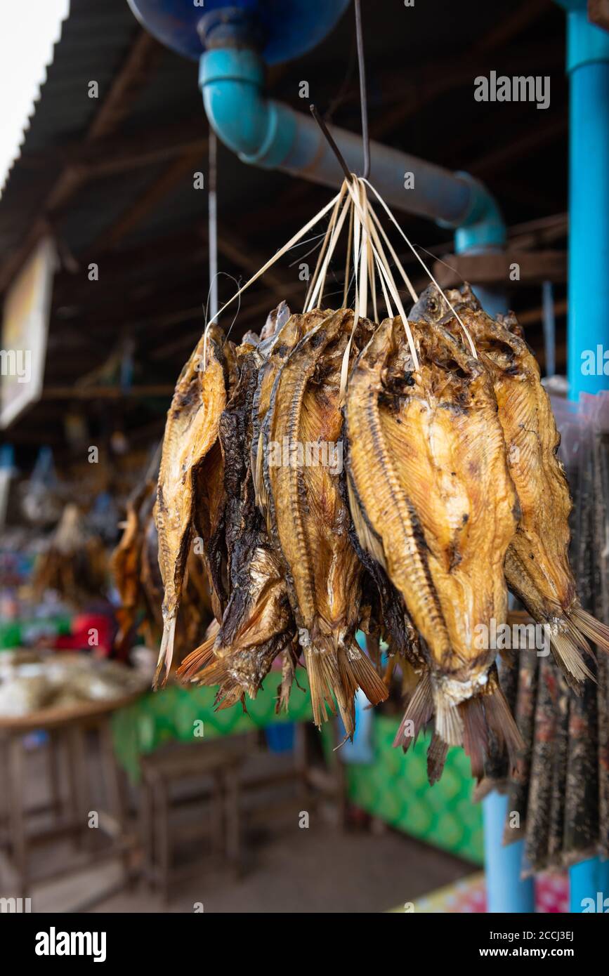 Dried fish hanging at a market stall at a fish market in rural Laos ...