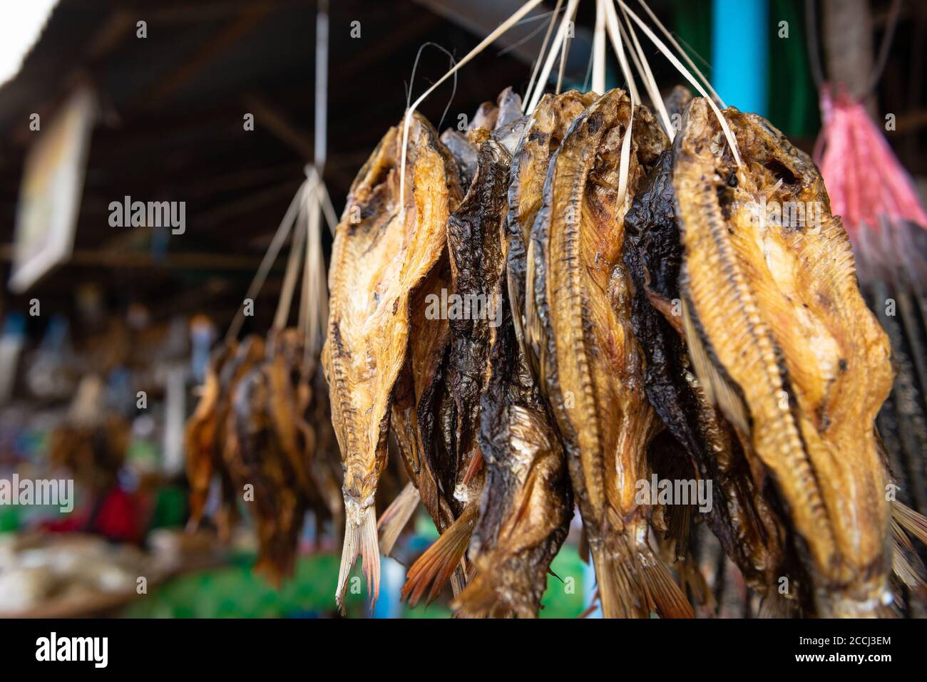 Dried fish hanging at a market stall at a fish market in rural Laos ...