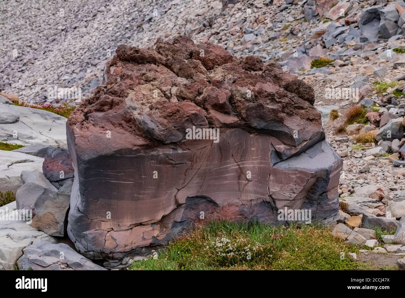 Volcanic rocks, with smooth and extremely rough forms of lava, near Old ...
