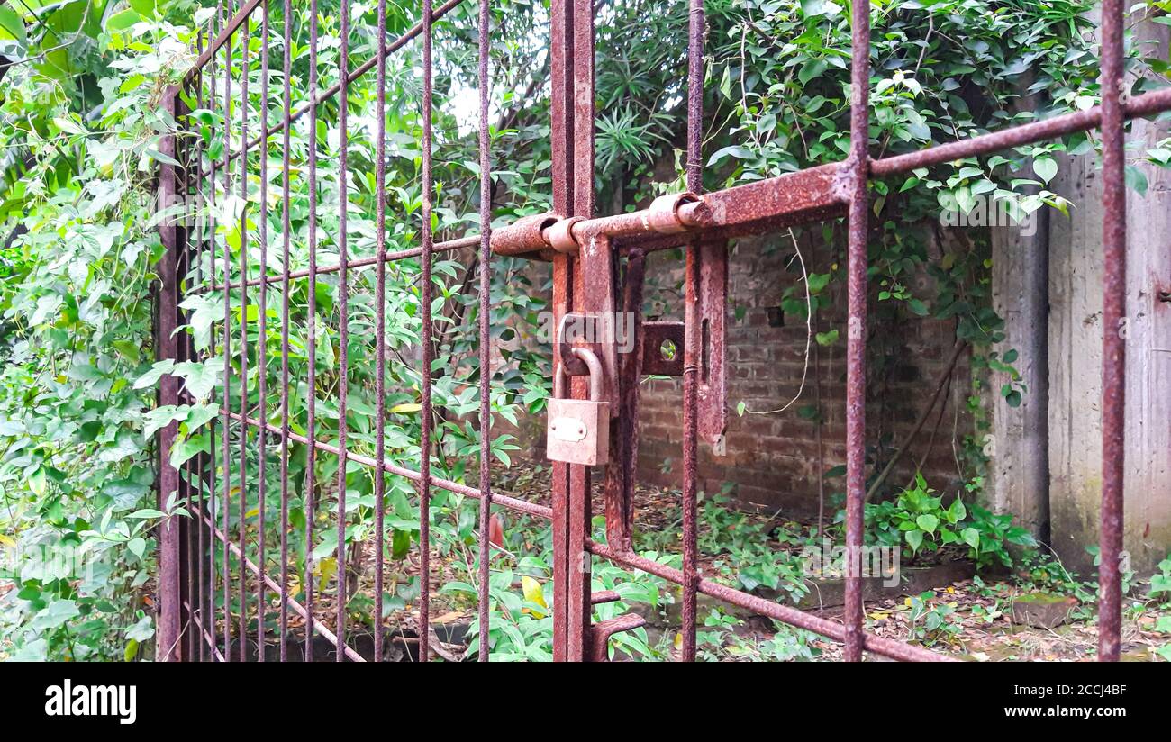 Closed Iron Gate with lock. Padlock on Iron Gate Stock Photo - Alamy