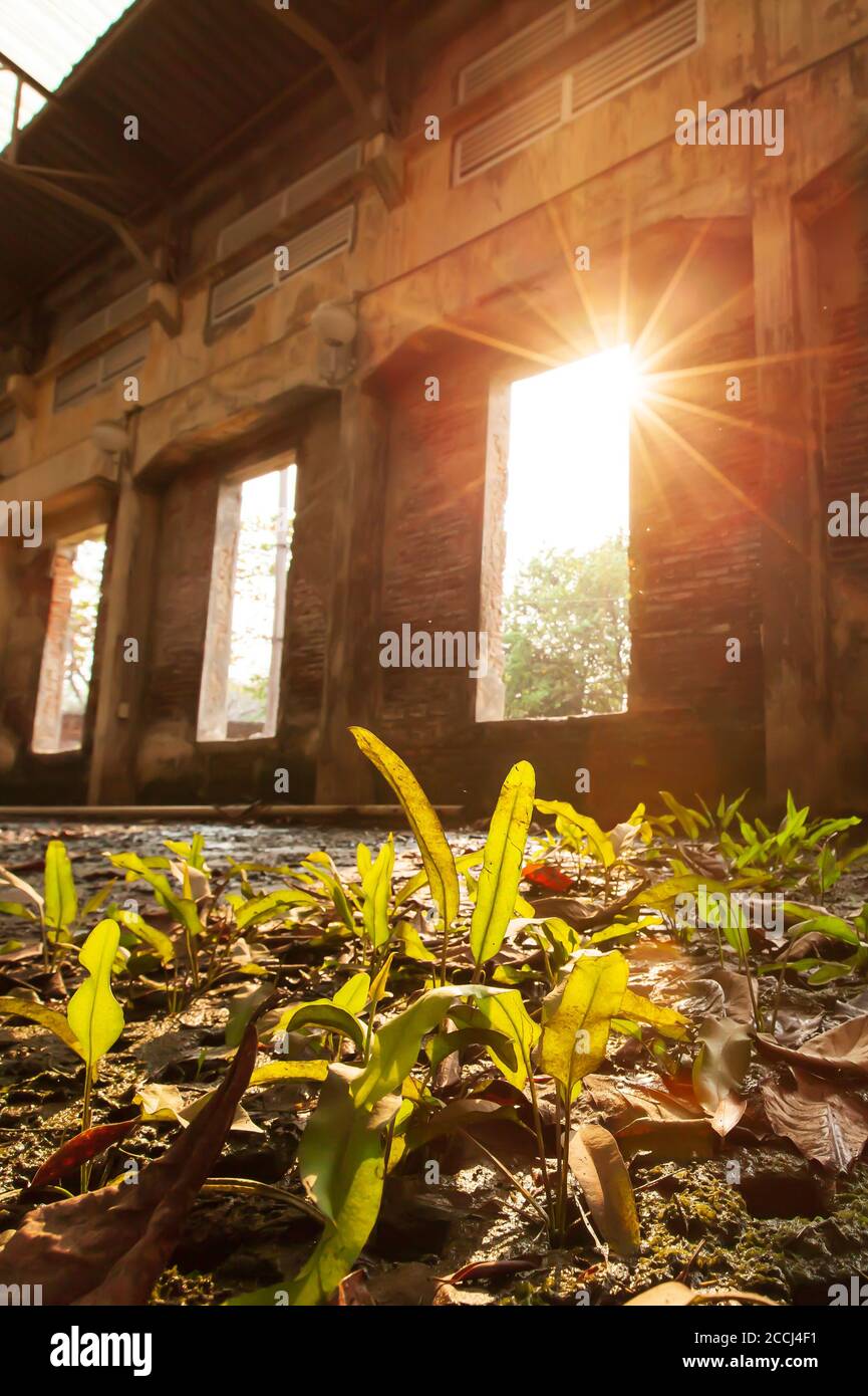 Interior old factory abandoned ruined hi-res stock photography and ...