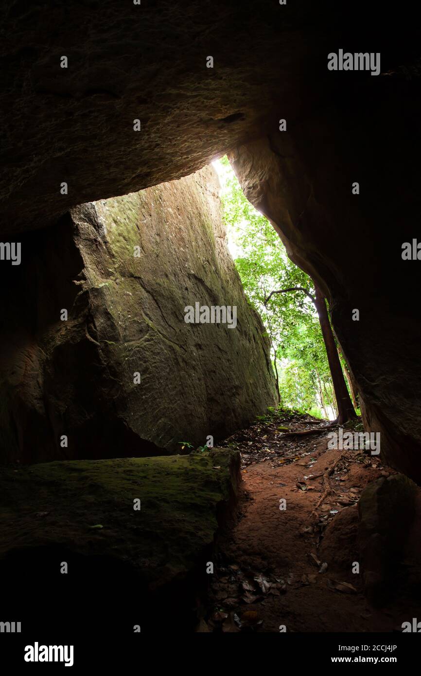 Mystic cave in an ancient forest, sunbeam shines through forest into ...