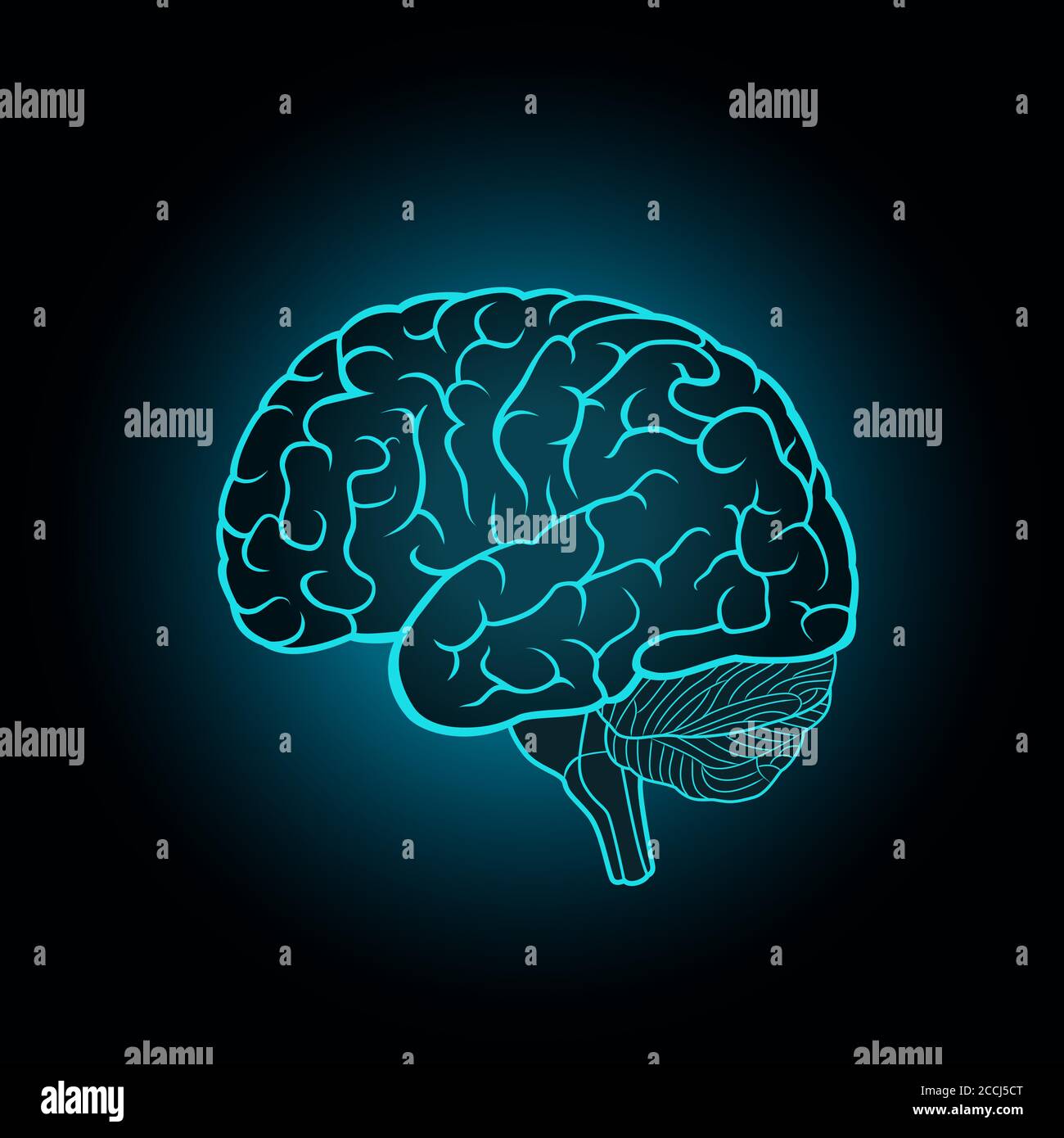 Schematic illustration of human brain on a dark blue background Stock ...