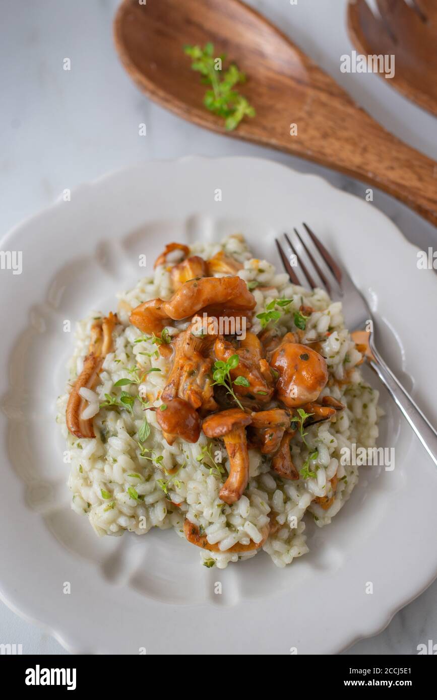 home made Risotto with chanterelle mushrooms and herbs Stock Photo - Alamy