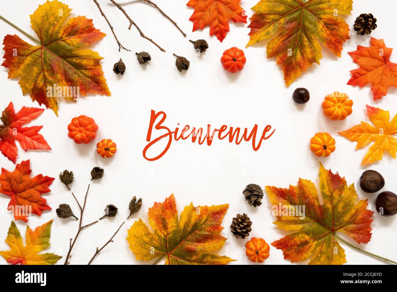 Bright Colorful Autumn Leaf Decoration, French Text Bienvenue Means ...