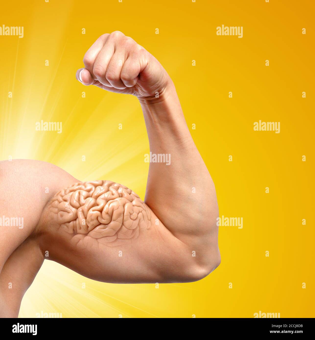 Brain tanned hi-res stock photography and images - Alamy