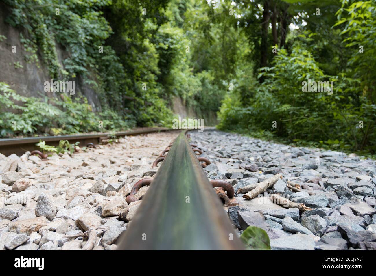 Iron Railway tracks railroad for Trains, Forward line view and tree ...
