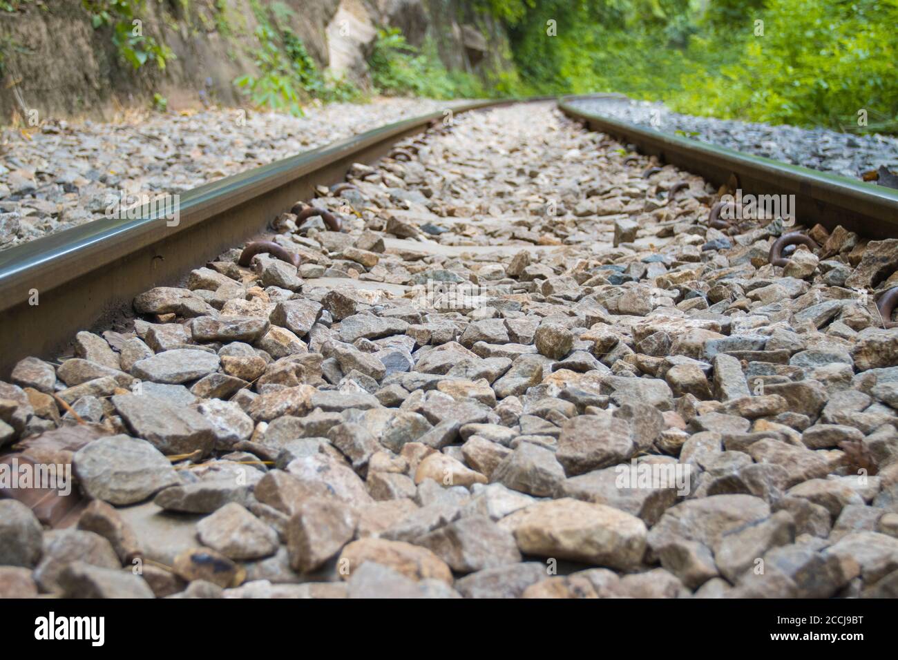 Iron Railway tracks railroad for Trains, Forward line view and tree ...