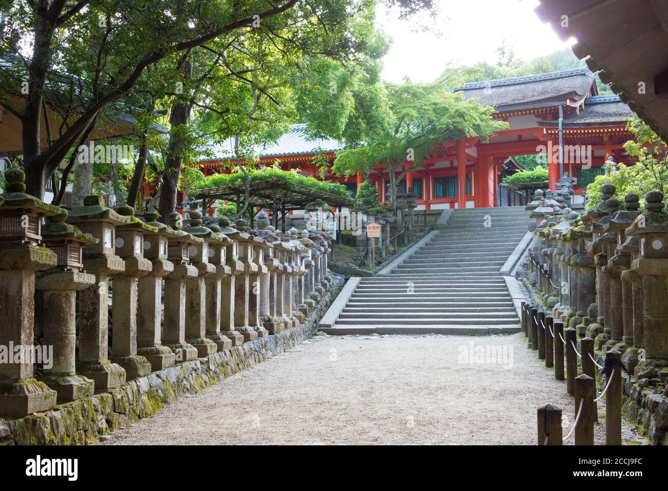 Grand kasuga taisha shrine hi-res stock photography and images - Alamy