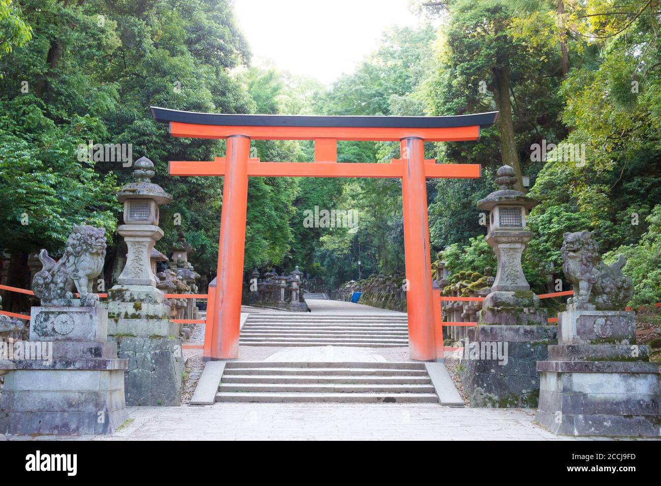 Nara, Japan - Kasuga Taisha Shrine (Kasuga Grand Shrine) in Nara, Japan ...