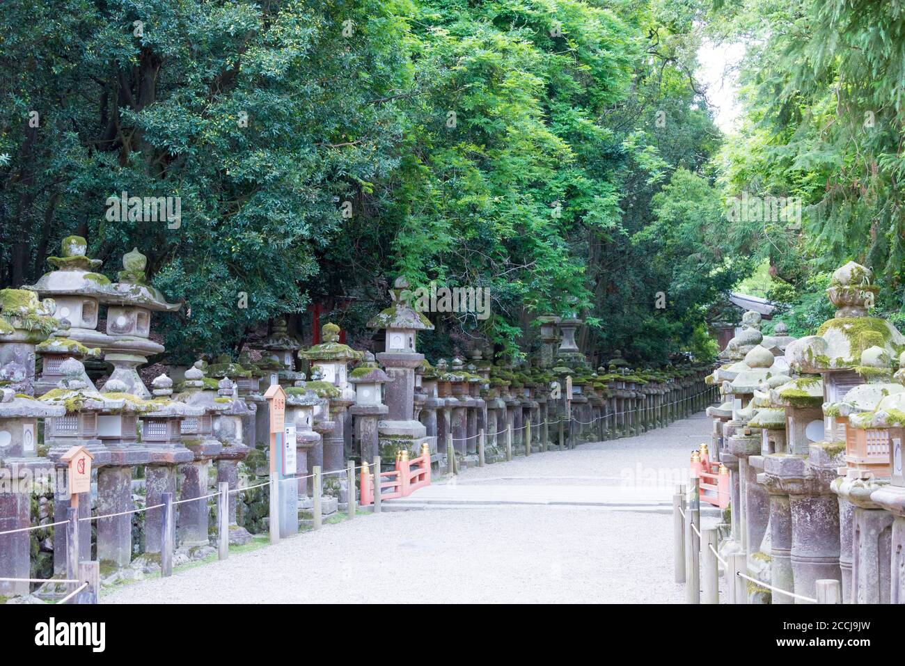 Nara, Japan - Kasuga Taisha Shrine (Kasuga Grand Shrine) in Nara, Japan ...