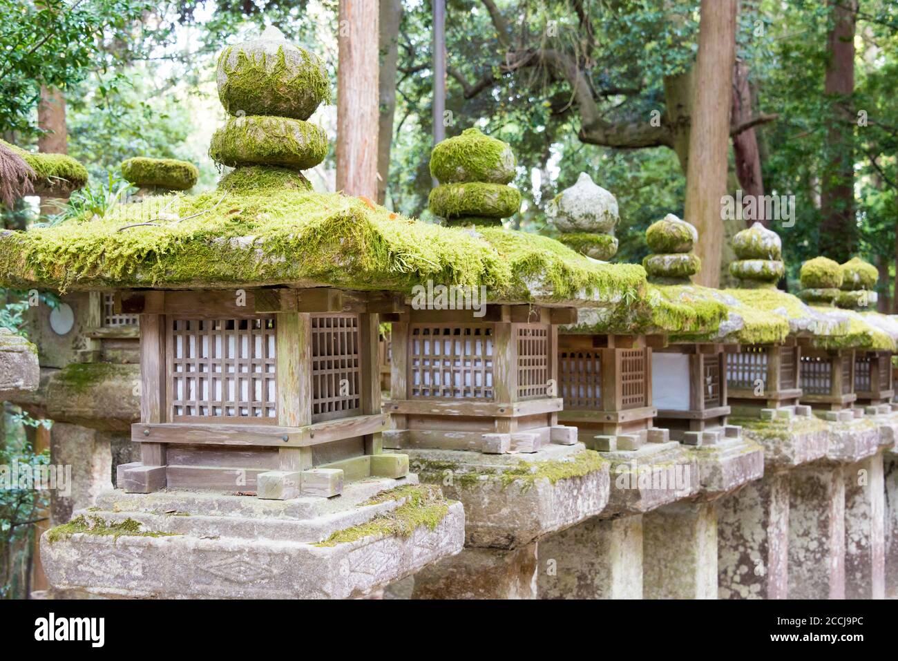 Nara, Japan - Kasuga Taisha Shrine (Kasuga Grand Shrine) in Nara, Japan ...