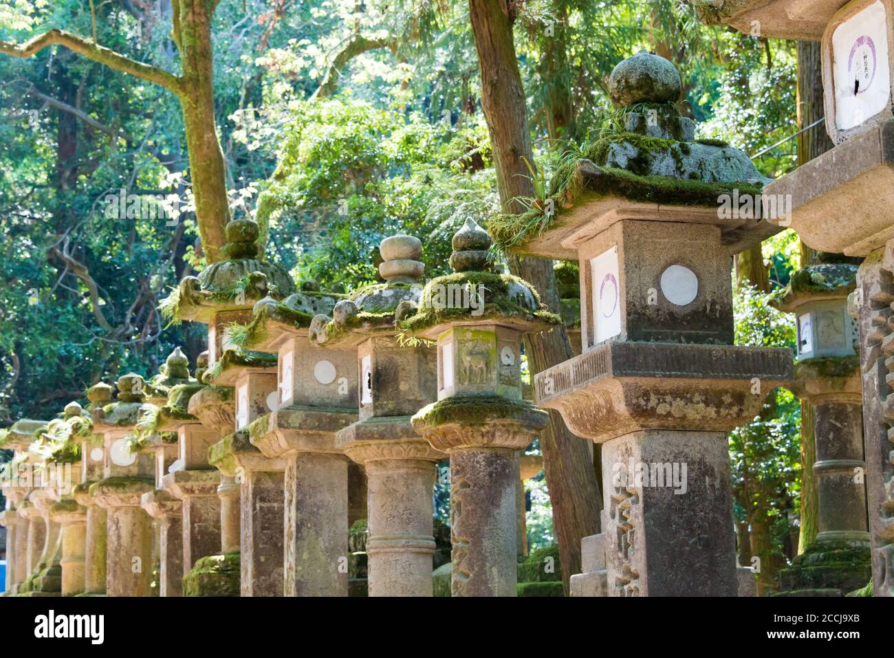 Nara, Japan - Kasuga Taisha Shrine (Kasuga Grand Shrine) in Nara, Japan ...