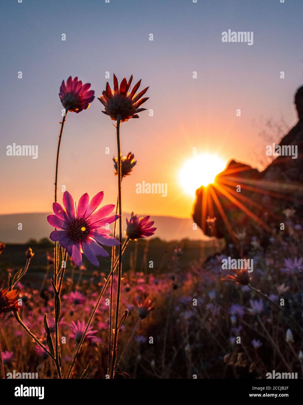 Beautiful Sunset and Night images Stock Photo - Alamy