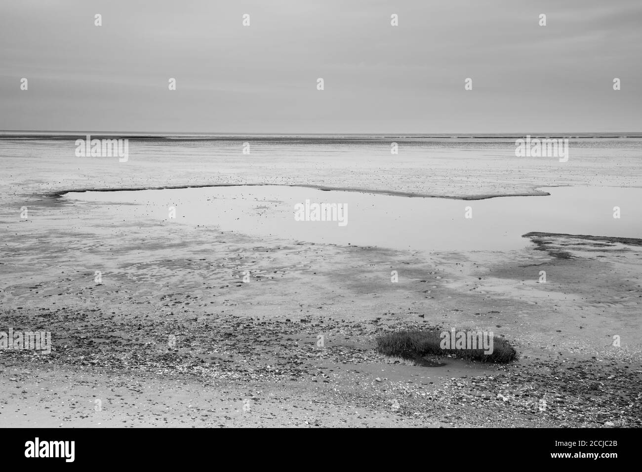Tideland at the national park wadden sea, North Frisia, Schleswig ...