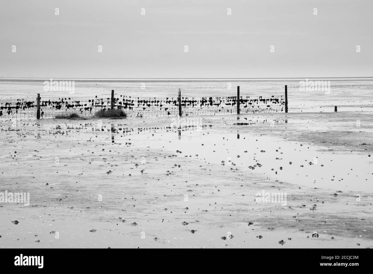 Tideland at the national park wadden sea, North Frisia, Schleswig ...