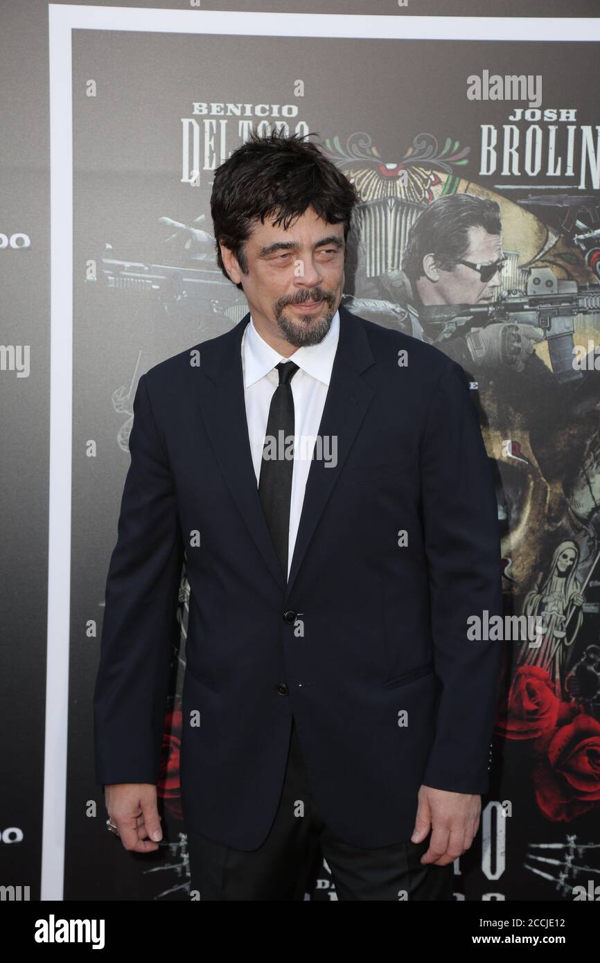 June del toro hi-res stock photography and images - Alamy