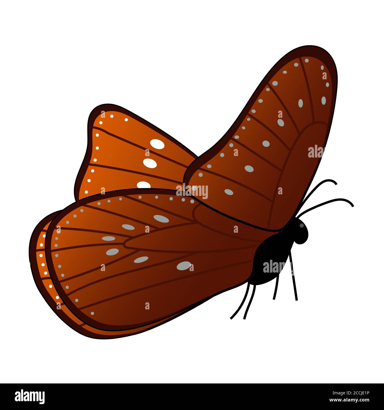 Brown Butterfly Clipart