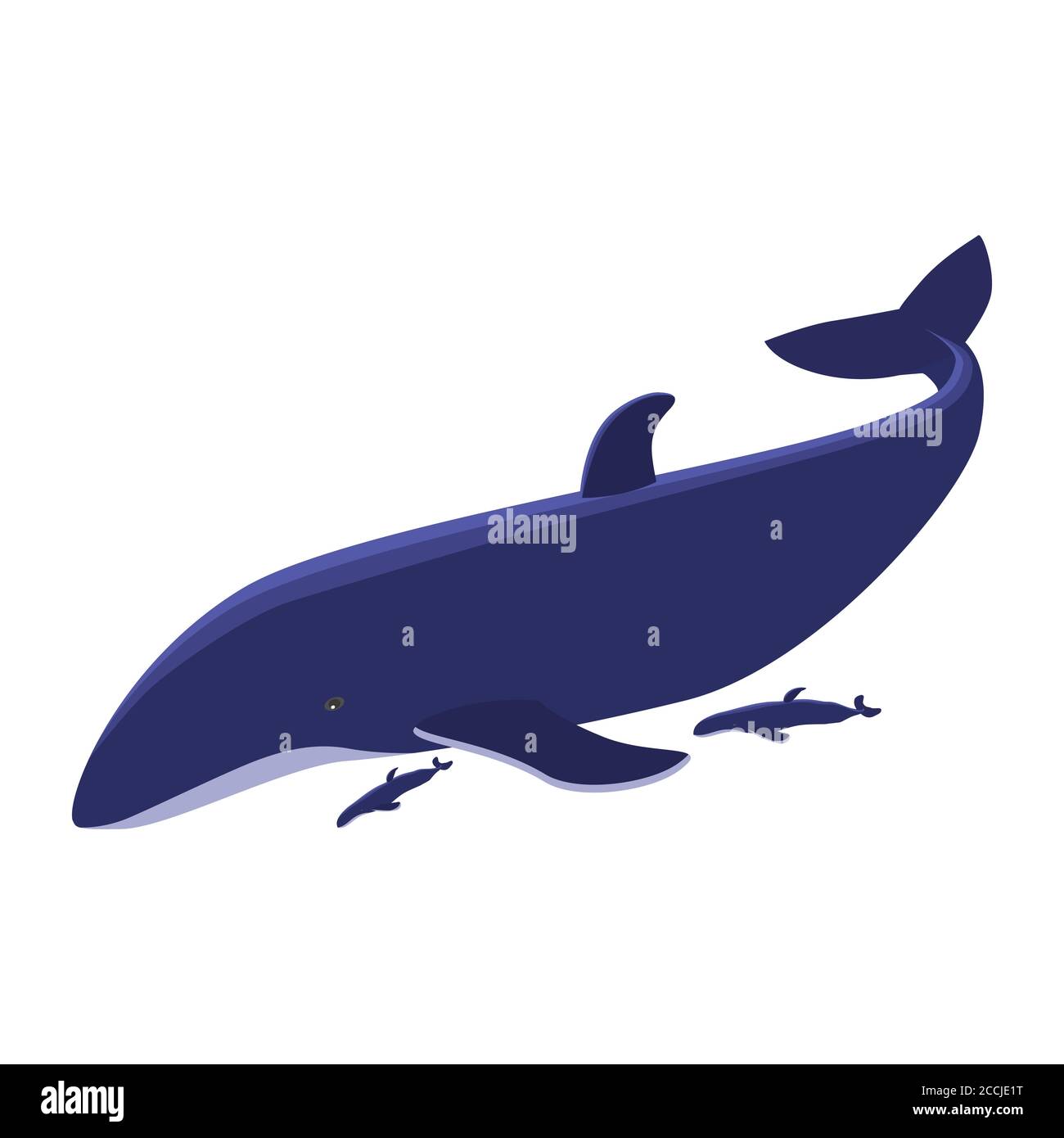 Big blue whale with two whale cubs isolated on white. The largest ...