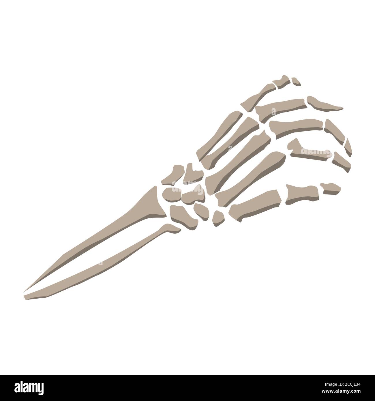 Hand bones from archaeological site isolated on white. The remains of a ...