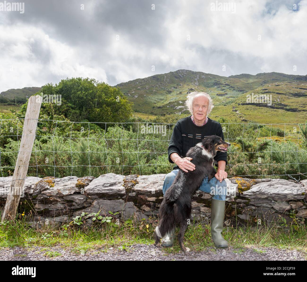 Sheep dog and sheep and farmer hi-res stock photography and images - Alamy