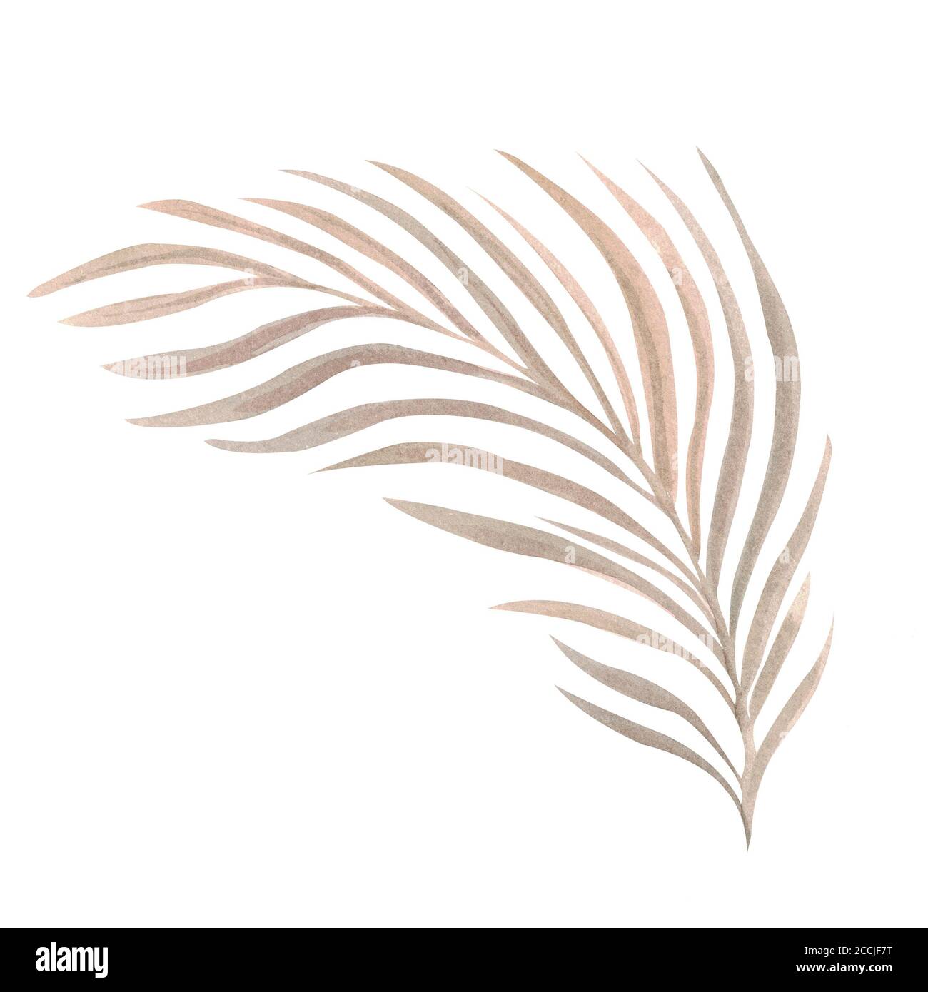 Boho graphics hi-res stock photography and images - Alamy