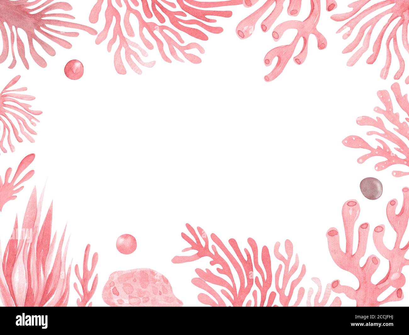 Watercolor illustration of a decorative frame of red coral. Banner ...
