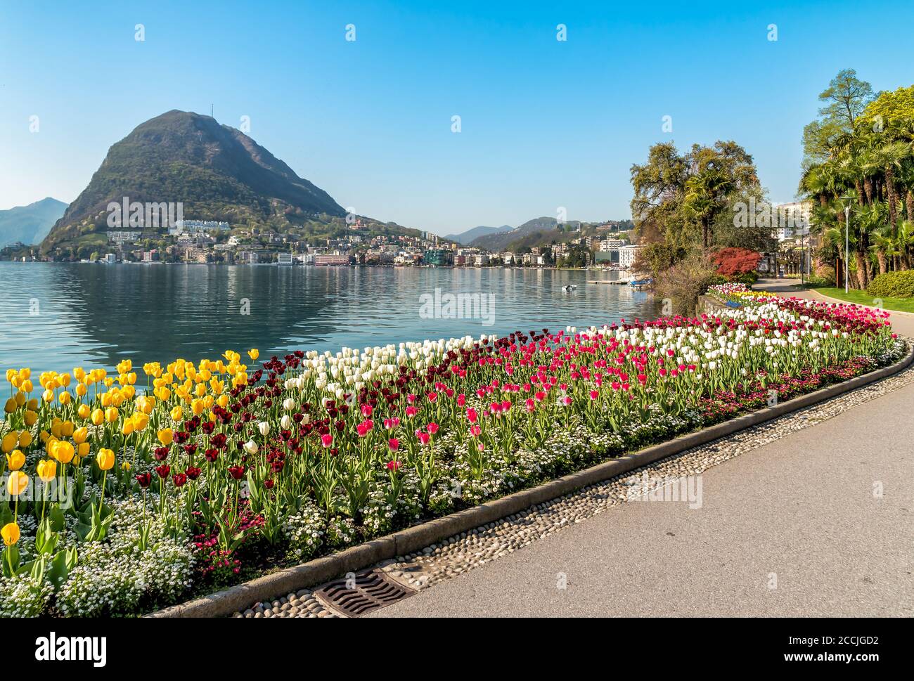 Landscape of Lake Lugano with colorful tulips in bloom from Ciani Park ...