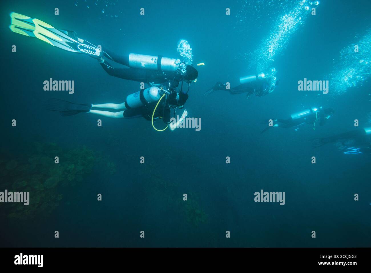 Group of scuba divers swimming in clear blue water Stock Photo - Alamy