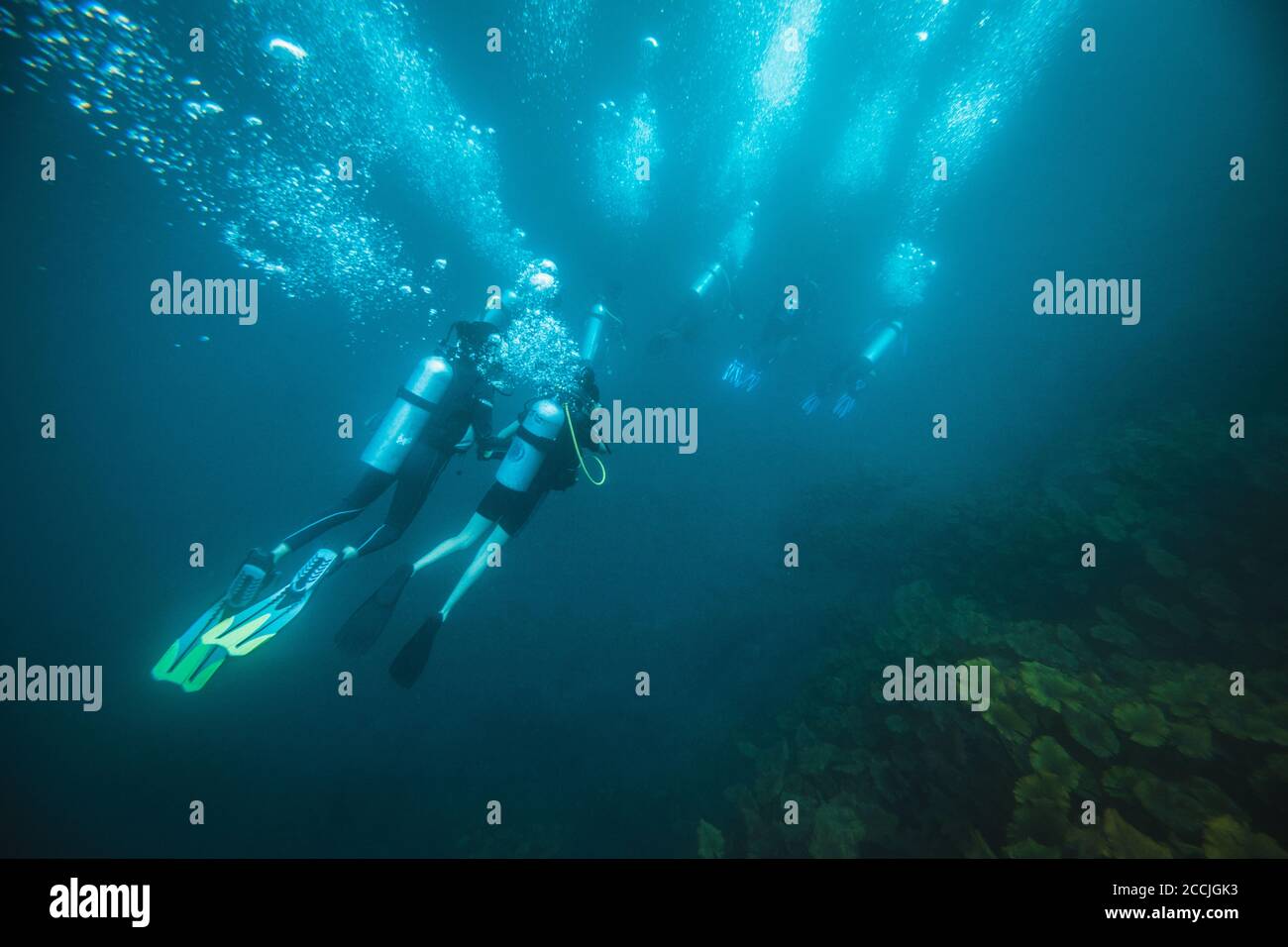 Group of scuba divers swimming in clear blue water Stock Photo - Alamy