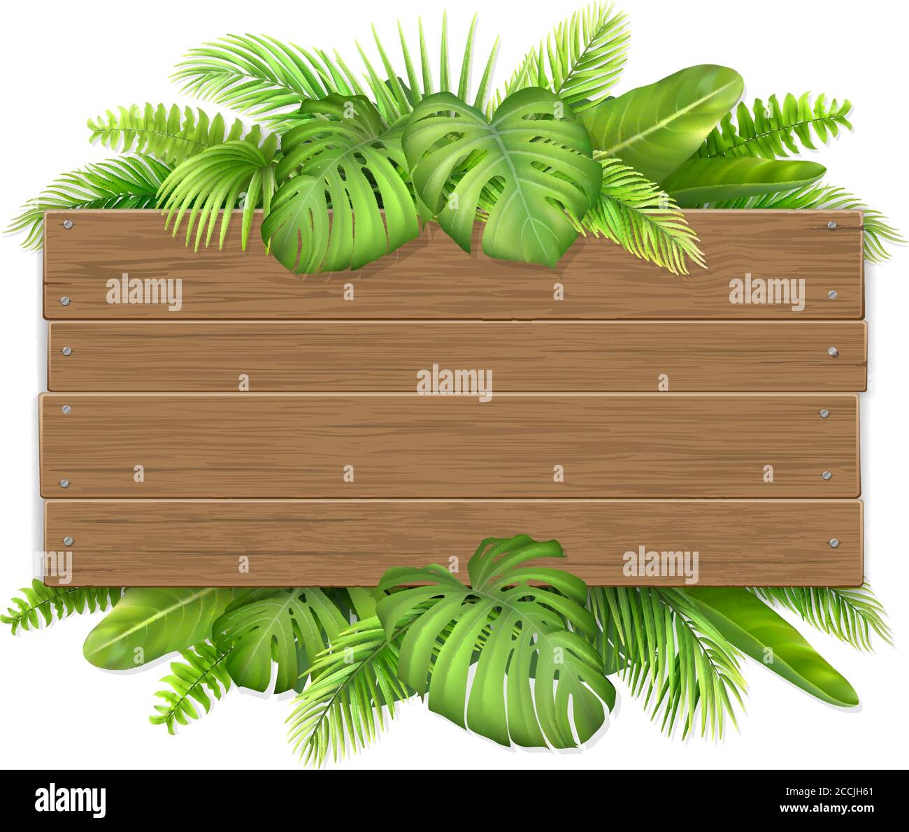 Wooden sign with tropical leaves Stock Vector Image & Art - Alamy