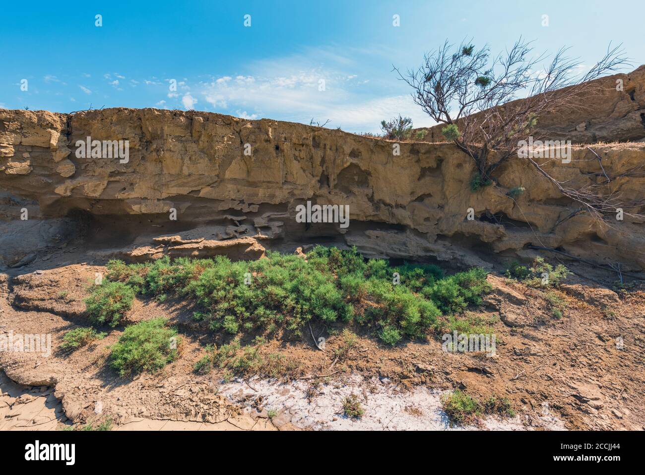 Dry river bed, drought, lack of water Stock Photo - Alamy