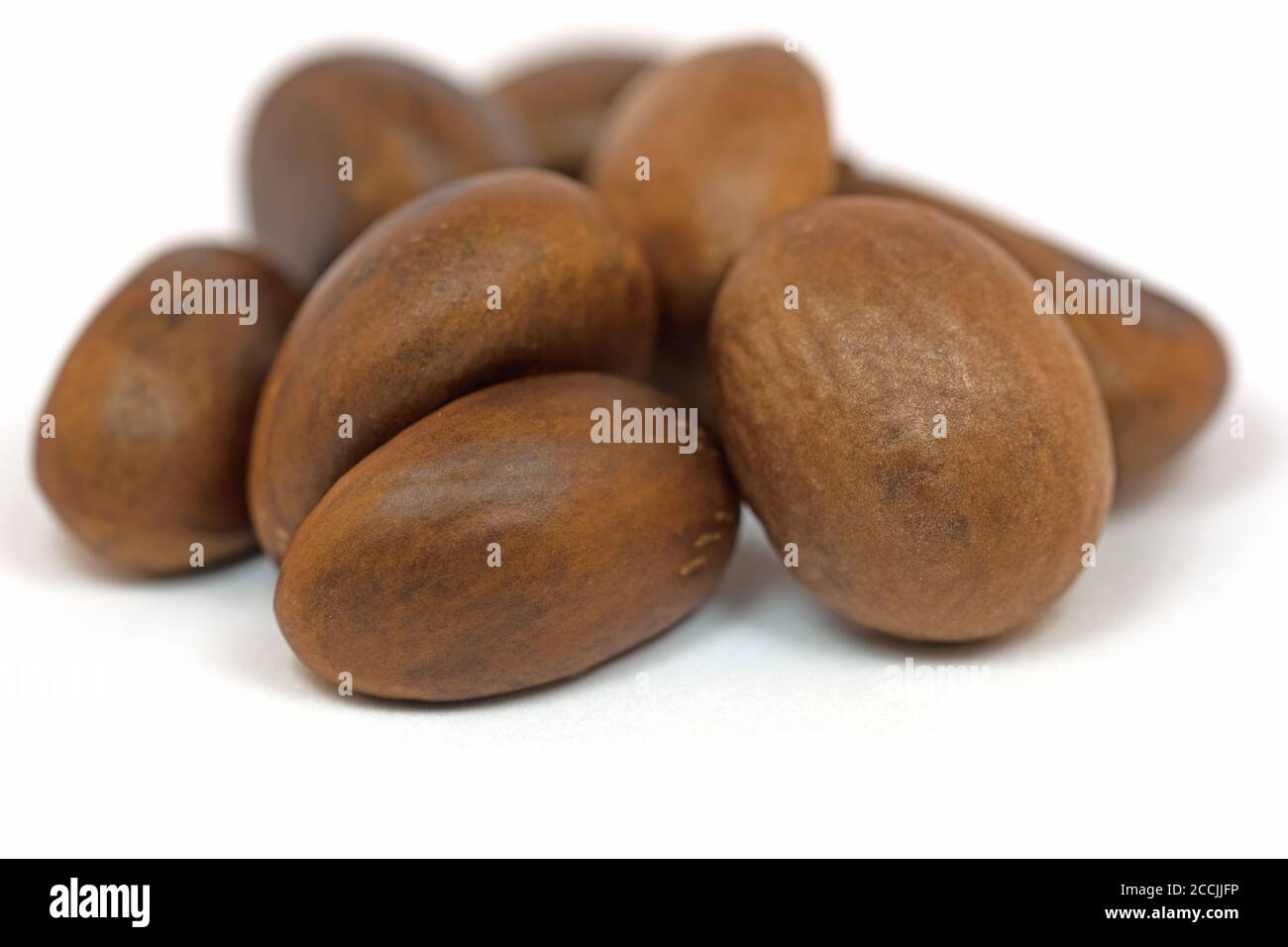 Japanese loquat seeds against white background Stock Photo - Alamy